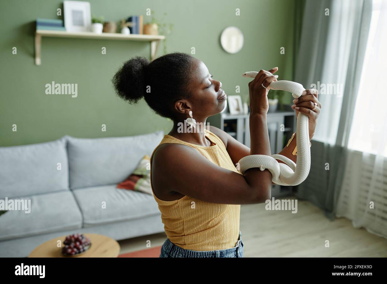 Female rat snake hi-res stock photography and images - Alamy