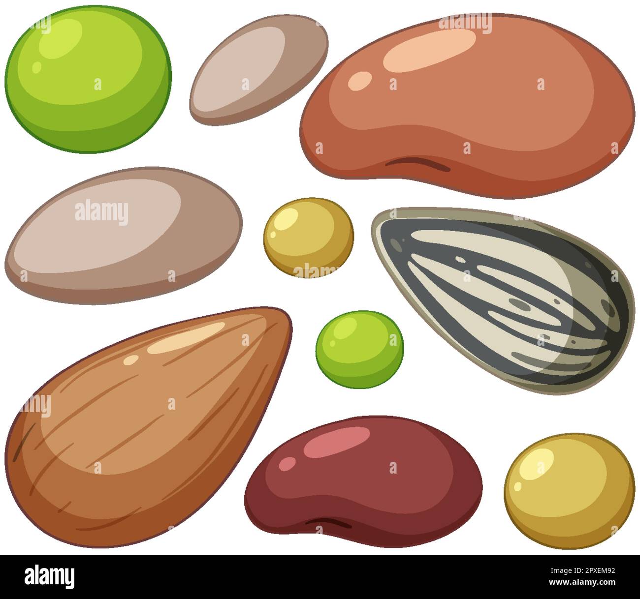 Set of nuts and peas illustration Stock Vector Image & Art - Alamy