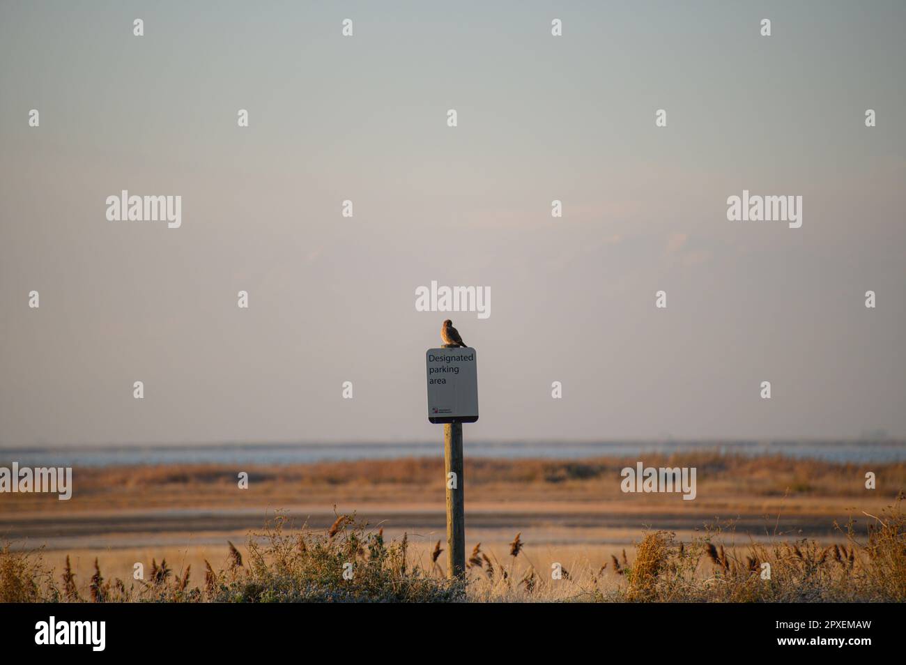 Two birds perched atop a sign indicating a 'closed zone' in a rural ...