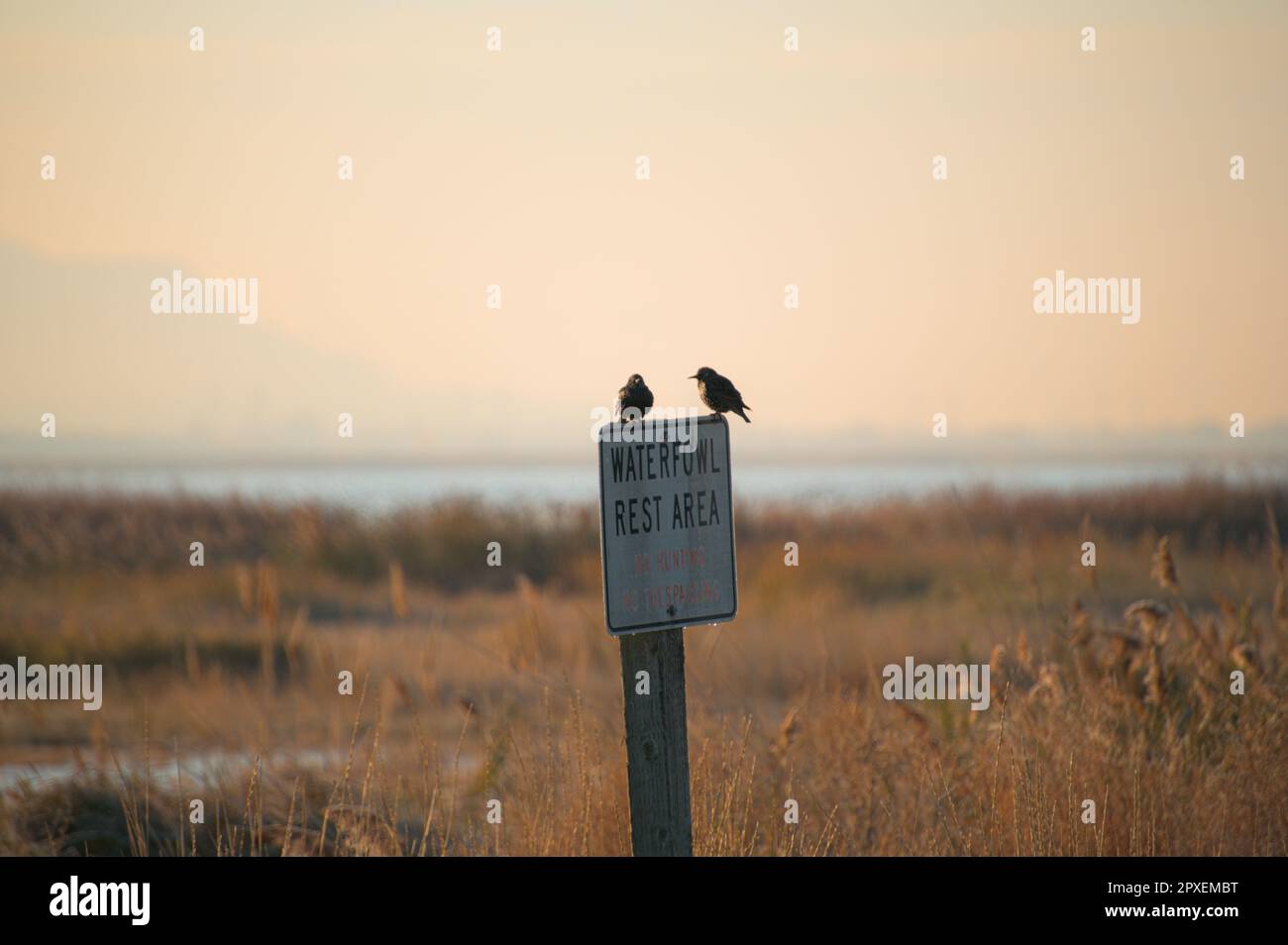 Two birds perched atop a sign indicating a 'closed zone' in a rural ...