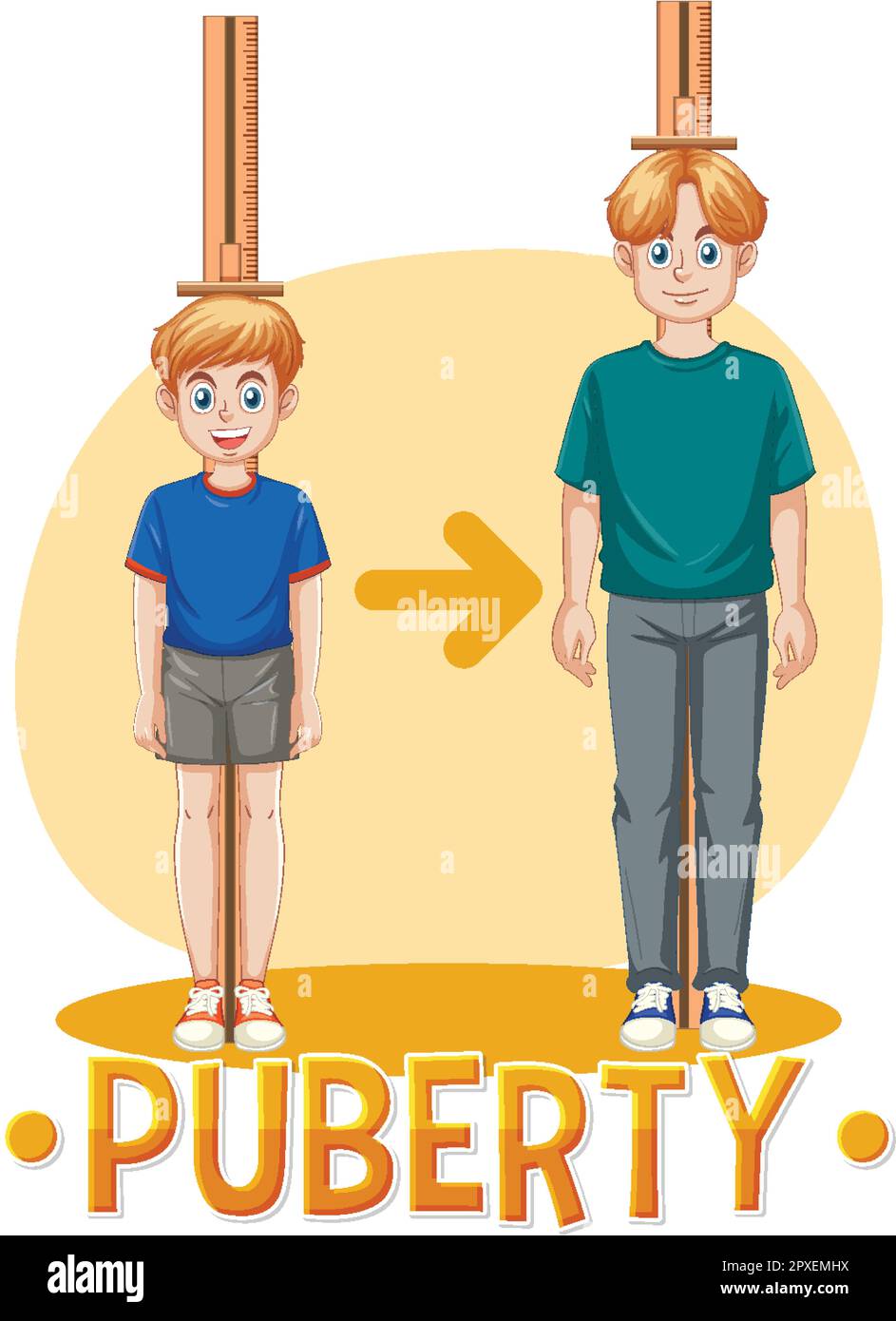 Teen Boy Measuring His Growth illustration Stock Vector Image & Art - Alamy