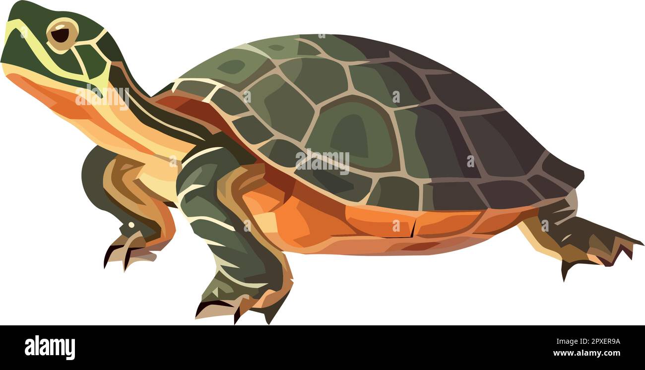 Slow and Cute Turtle Stock Vector Image & Art - Alamy