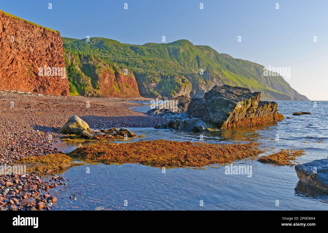 Green Hills Above a Rocky Beach in the Green Gardens of Gros Morne ...