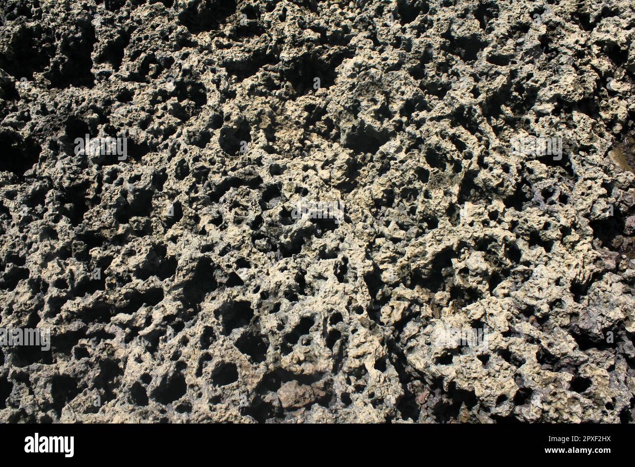 Texture of a porous stone (pierced by water) on the banks of a river ...