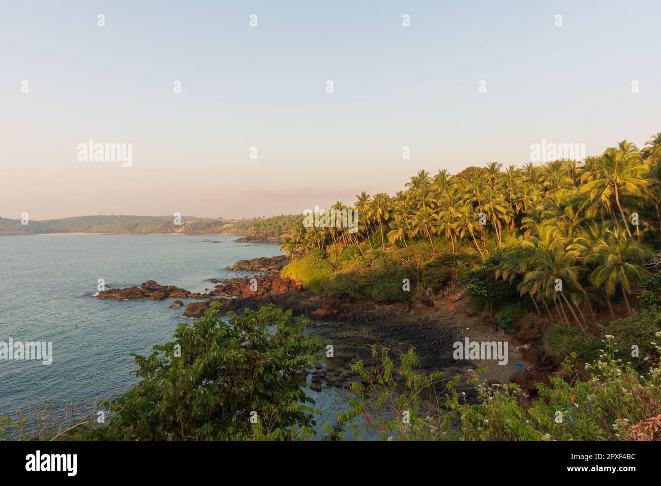 view of a beautiful coastal scene with palm trees and the sea at sunset ...