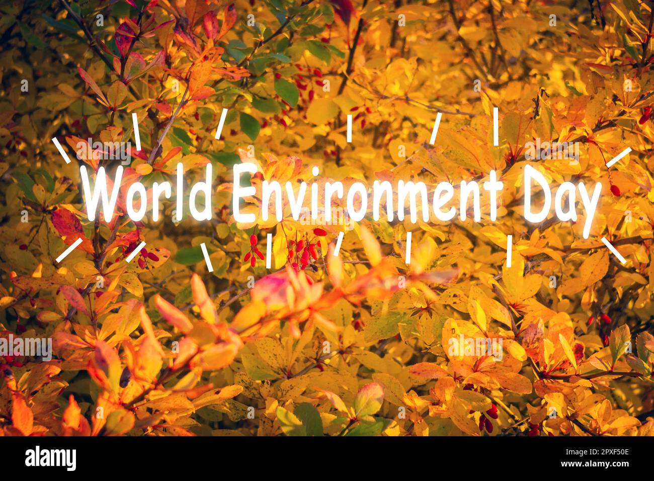 World environment day, ecology nature landscape with meadow. Abstract ...