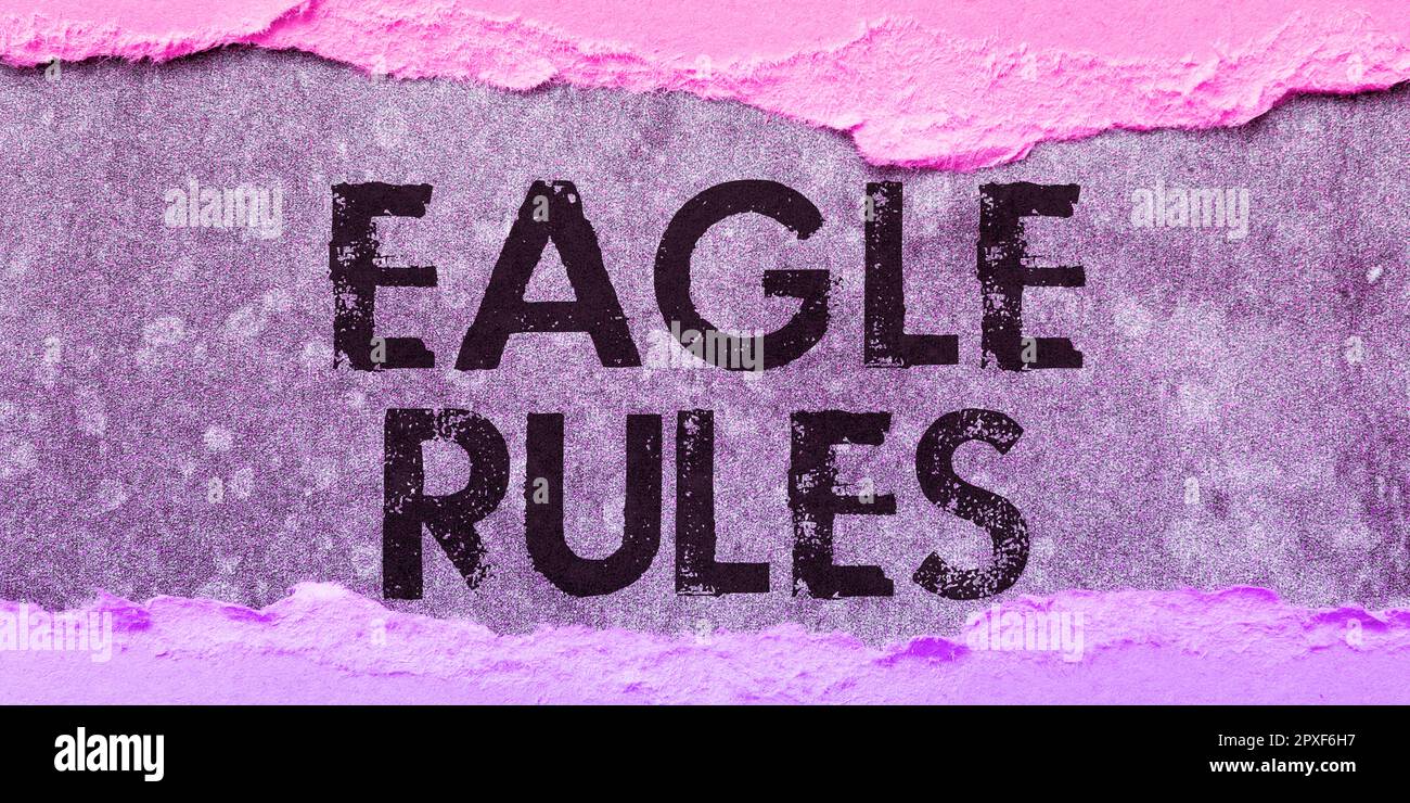Conceptual display Eagle Rules, Business showcase a huge set of design ...
