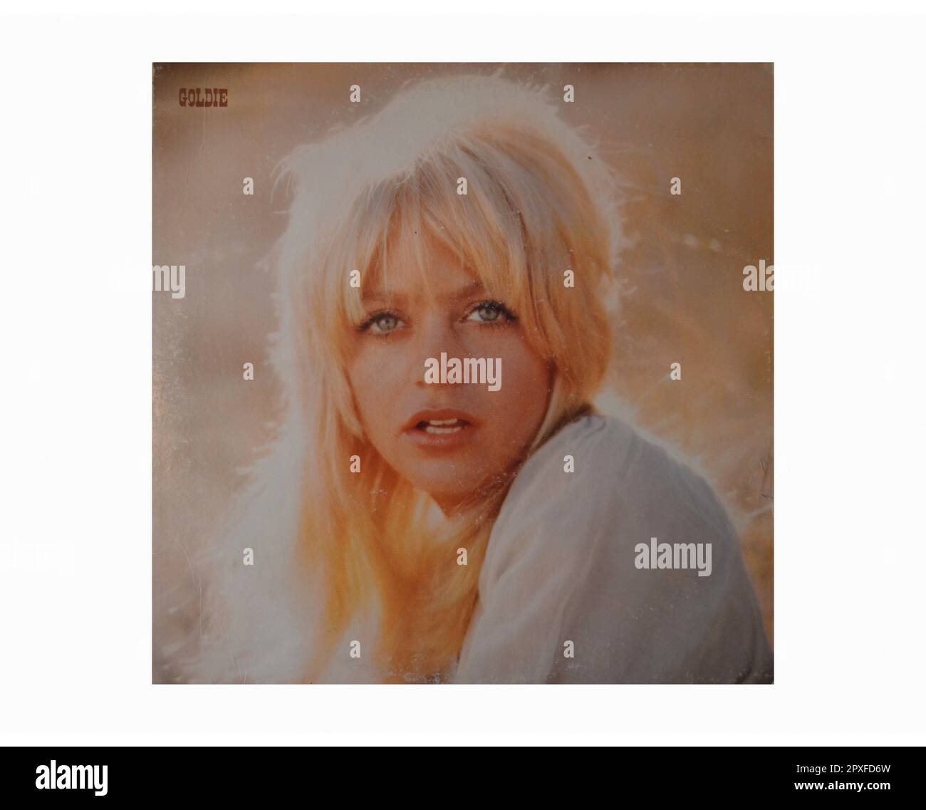 Goldie Cut Out Stock Images And Pictures Alamy