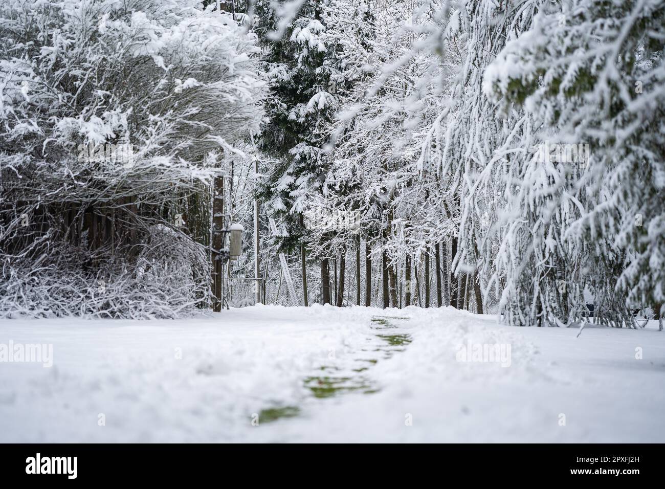 The cleared path from snow to closed gates Stock Photo - Alamy