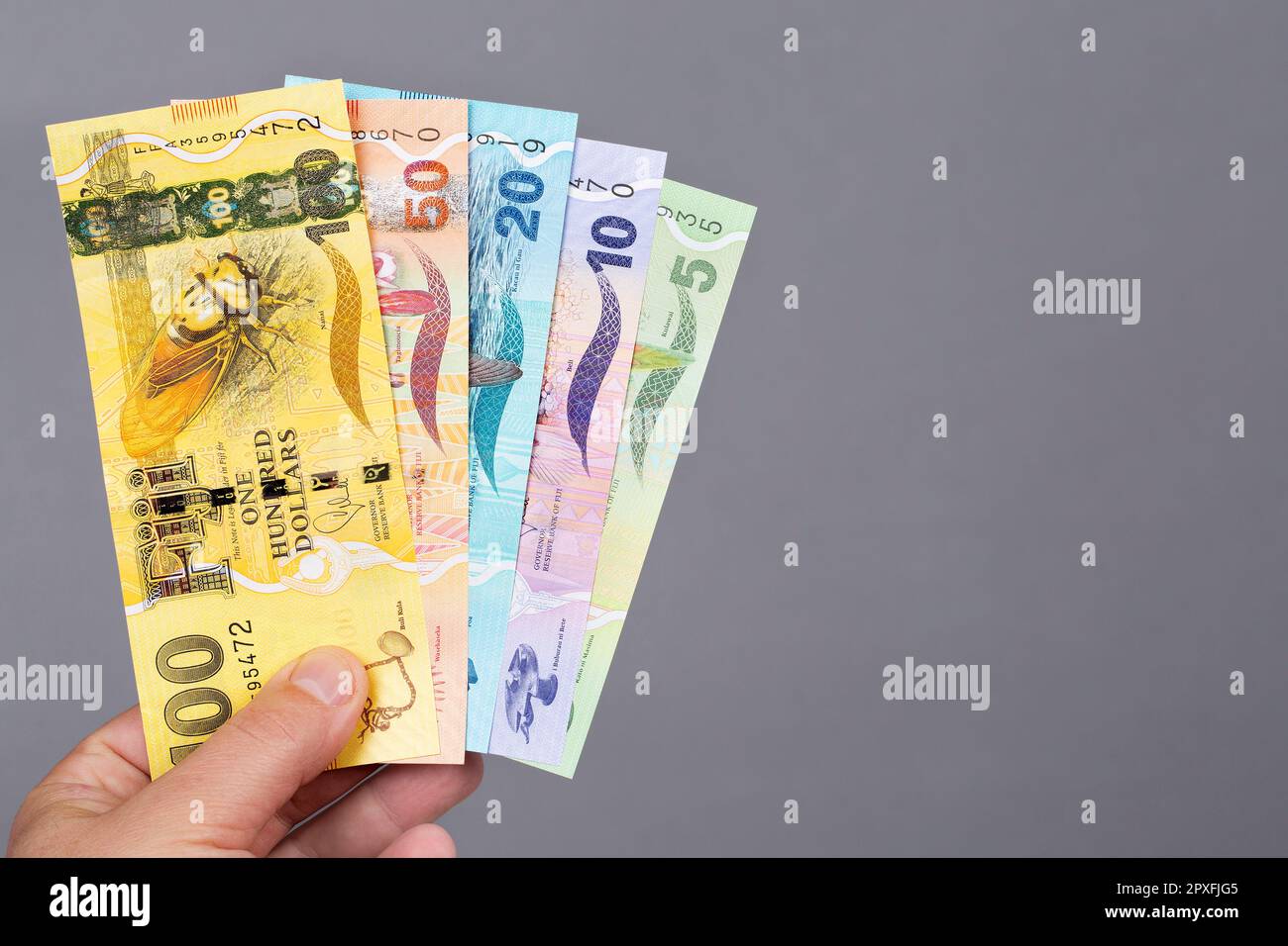 Fijian money - dollar in the hand on a gray background Stock Photo - Alamy