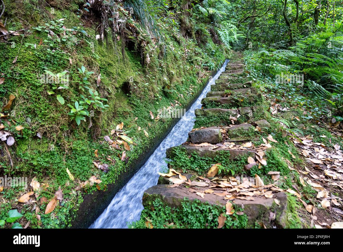 The path by beautiful irrigation canal named levadas in Madeira island ...