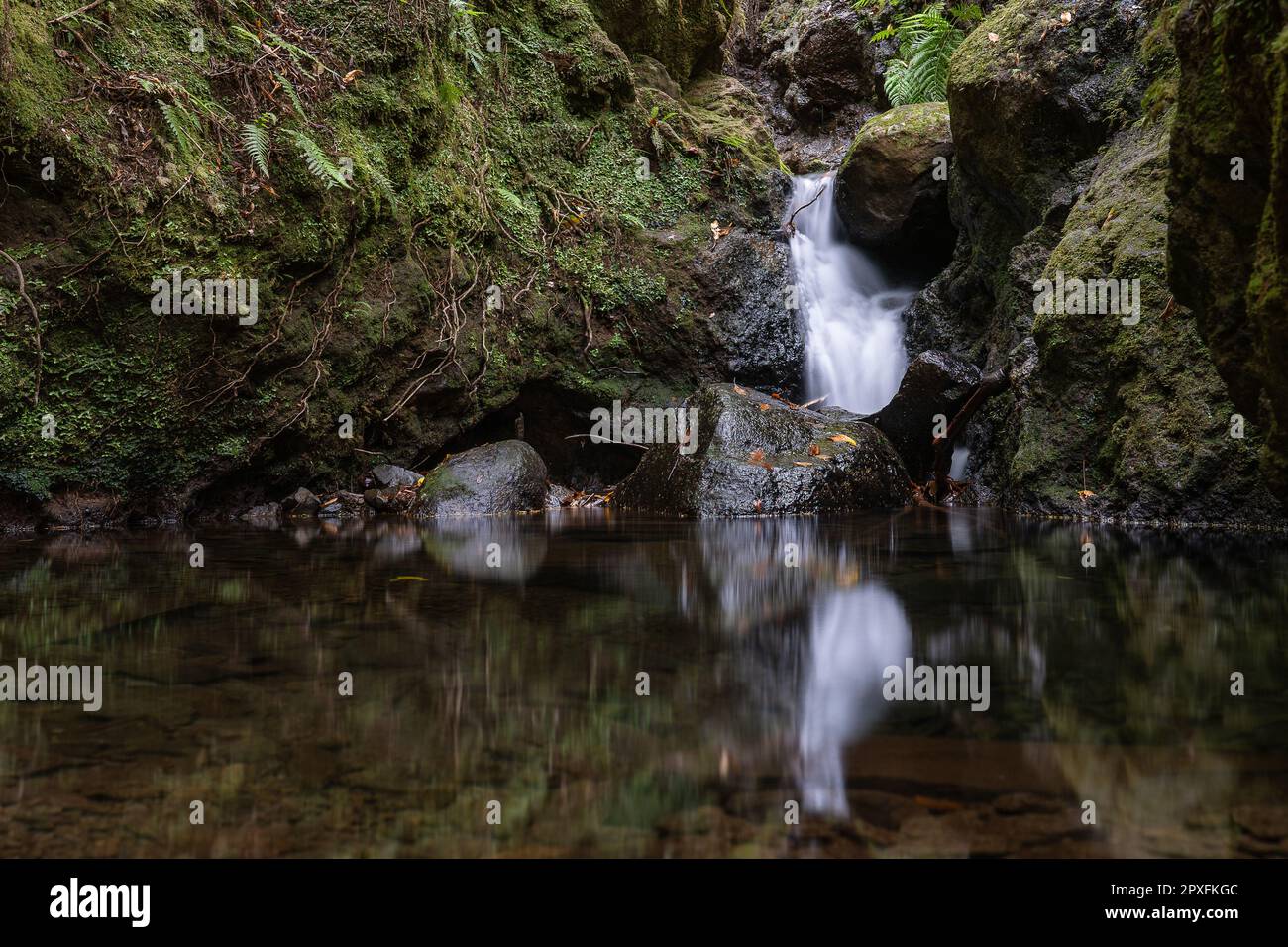 Mini waterfall garden hi-res stock photography and images - Alamy