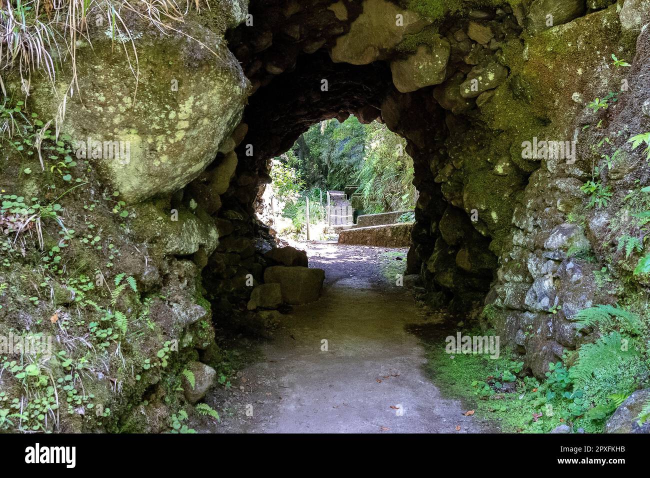 The path by caminho do pinaculo e folhadal levada in Madeira island ...