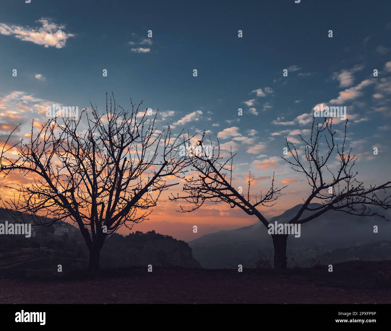 Beautiful Landscape of a Two Trees without Leaves over Sunset Sky ...