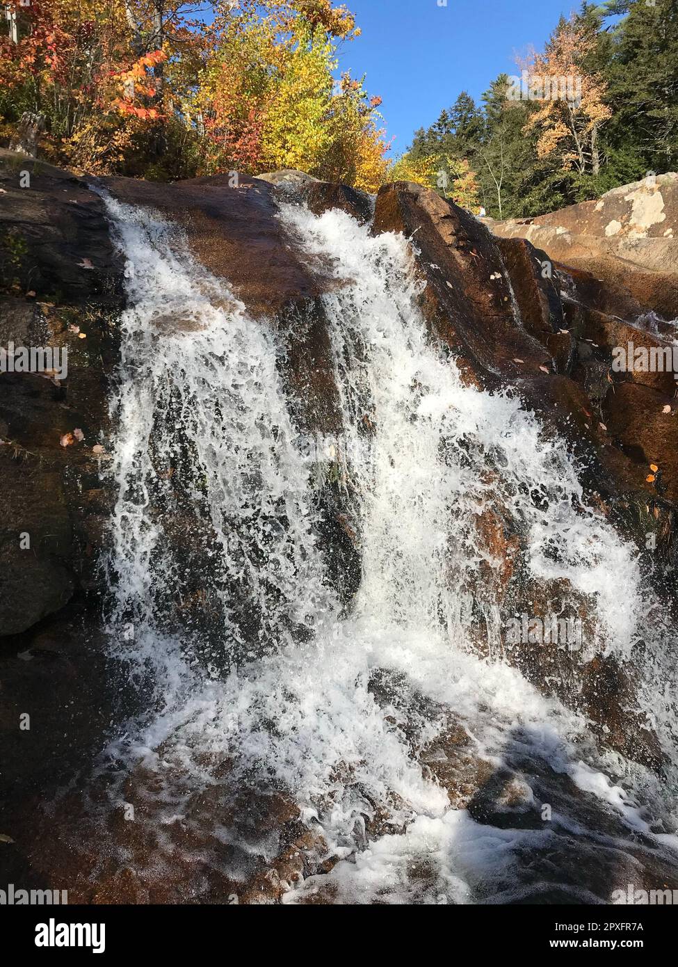 A stunning view of a cascading waterfall in a lush, wooded area Stock ...