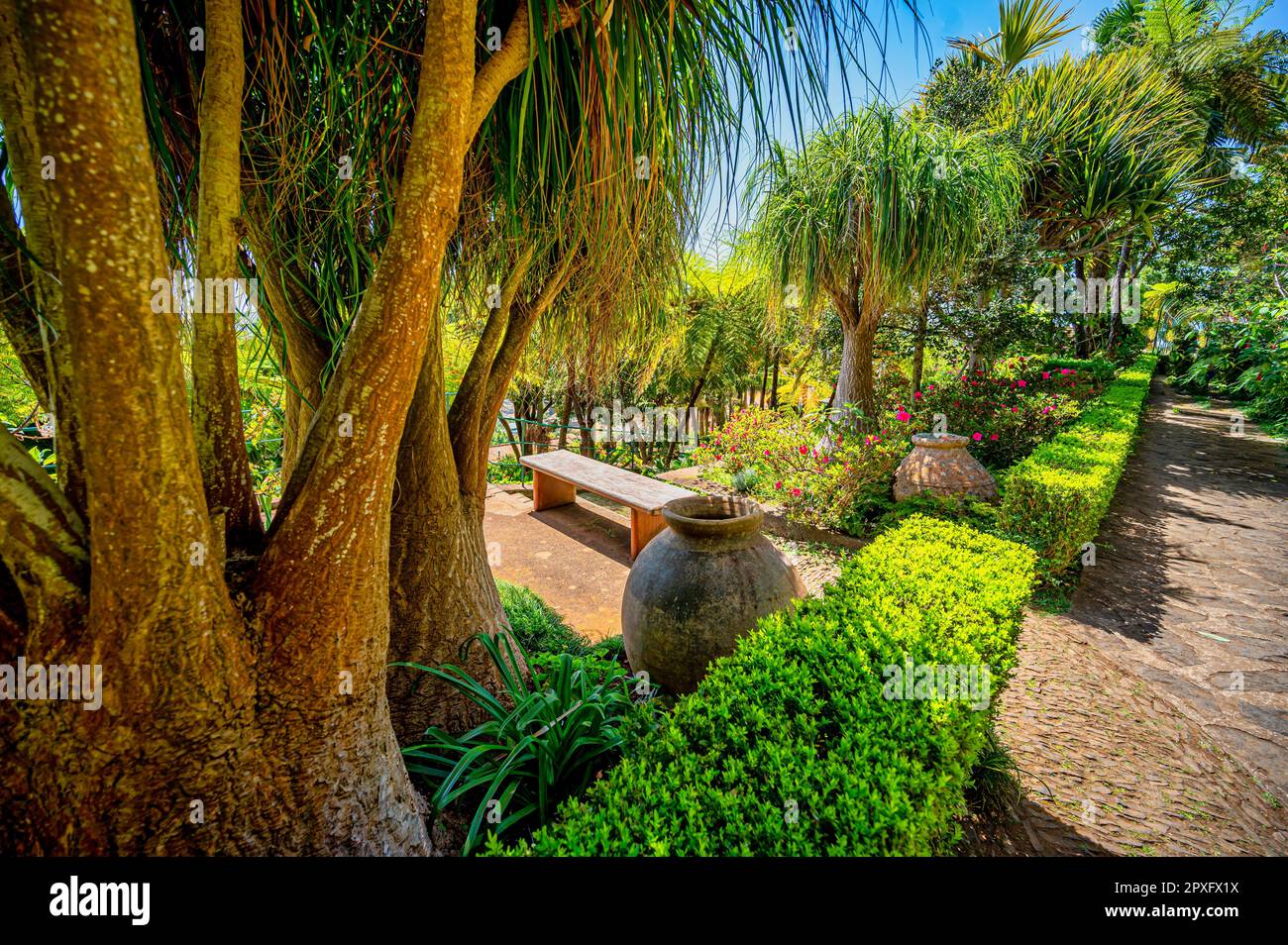 An idyllic outdoor landscape featuring lush vegetation of tree and ...