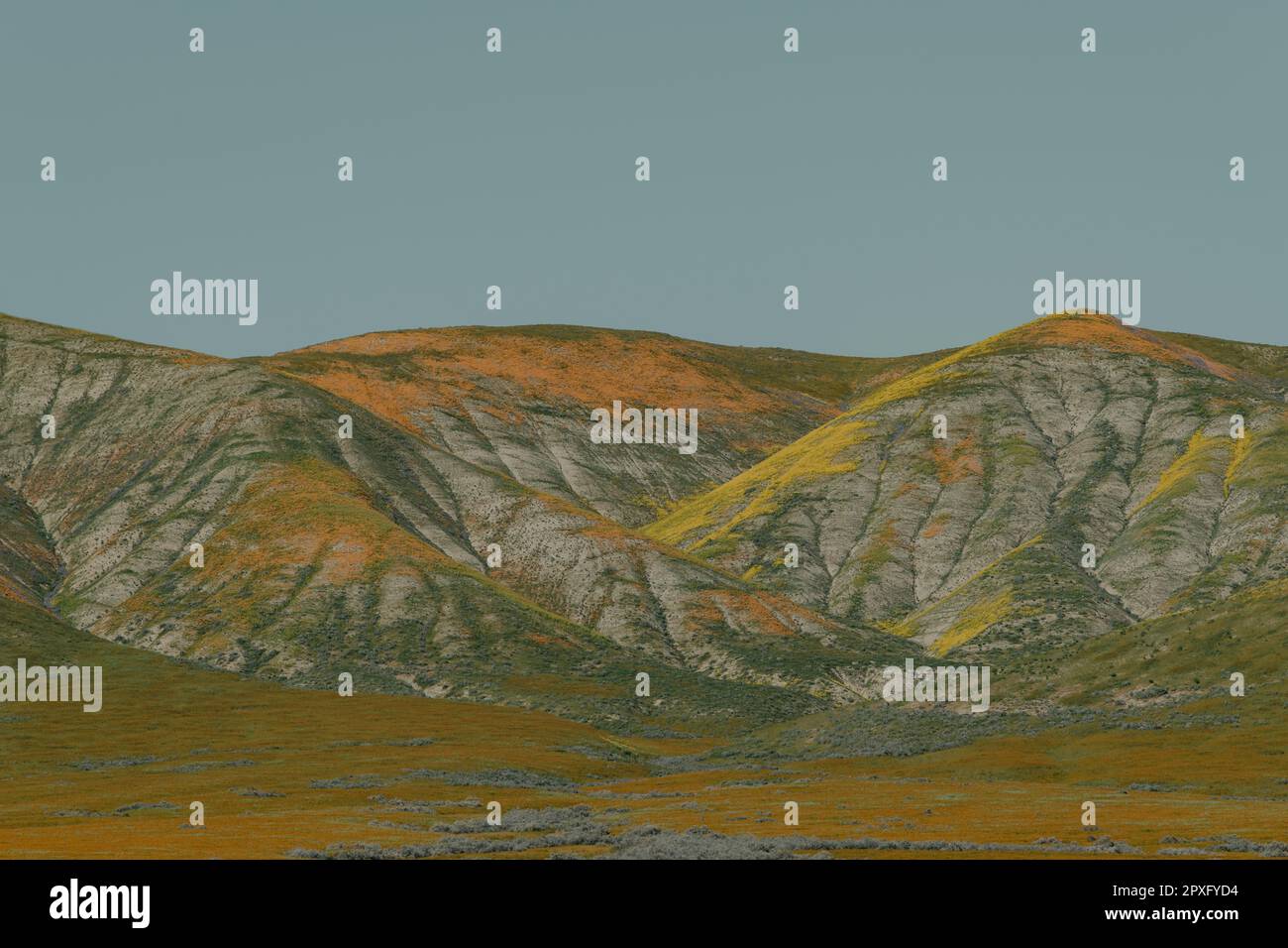 A scenic landscape of a rolling hillside with lush green grass and ...
