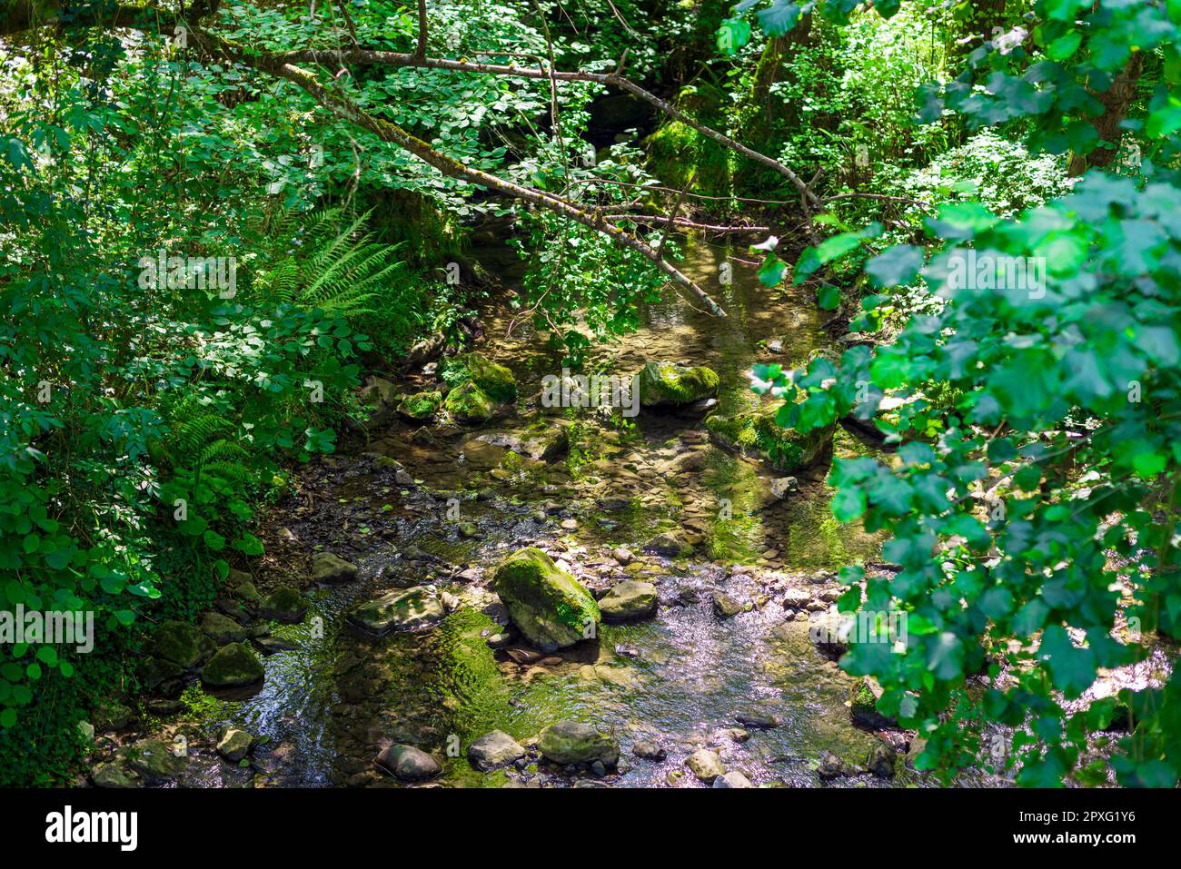 View of a creek from above Stock Photo - Alamy