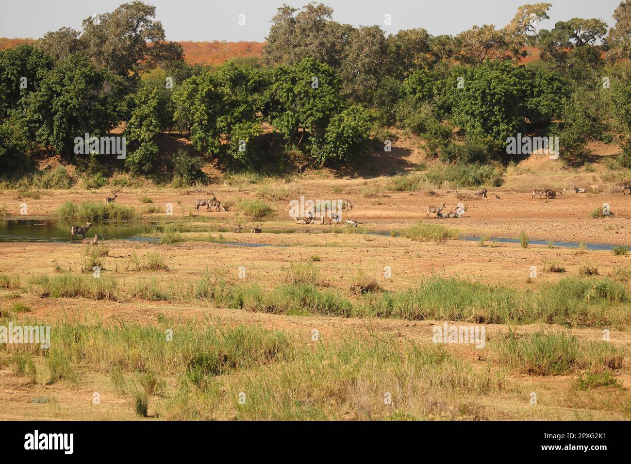 Letabariver hi-res stock photography and images - Alamy