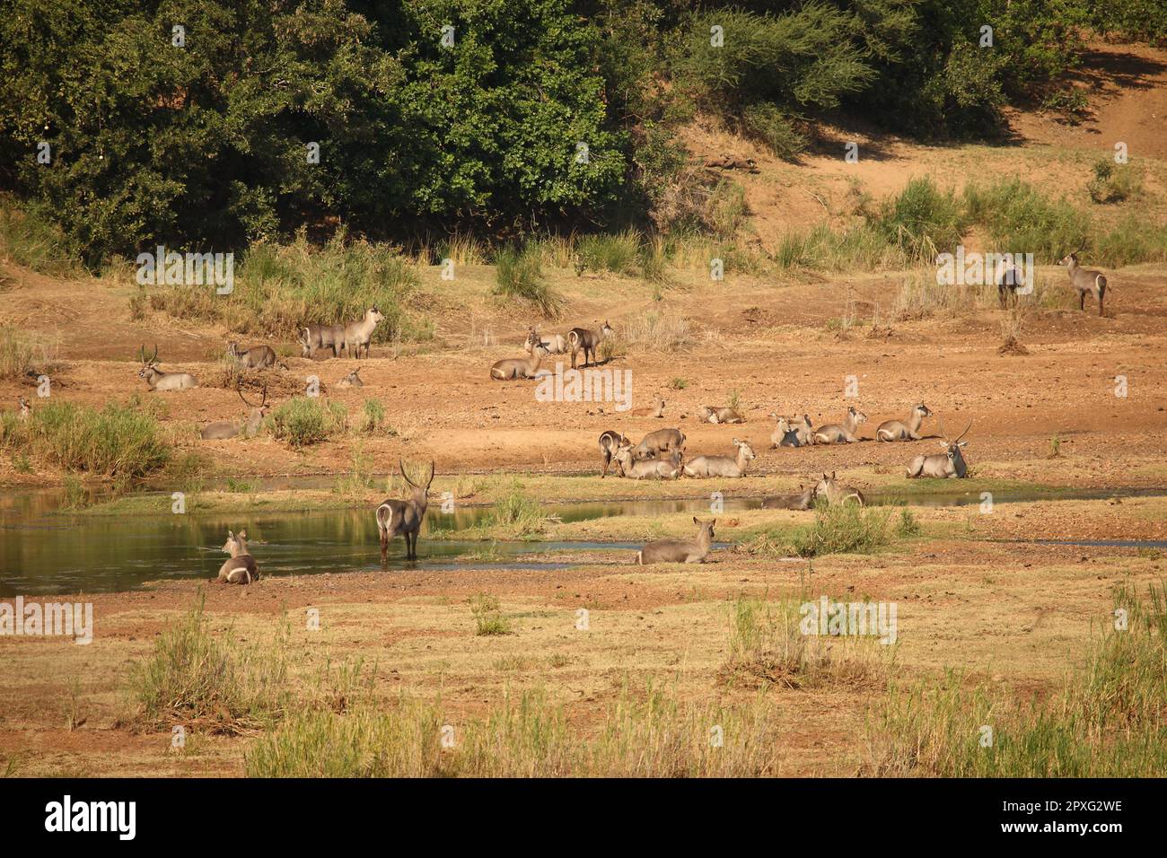 Letabariver hi-res stock photography and images - Alamy