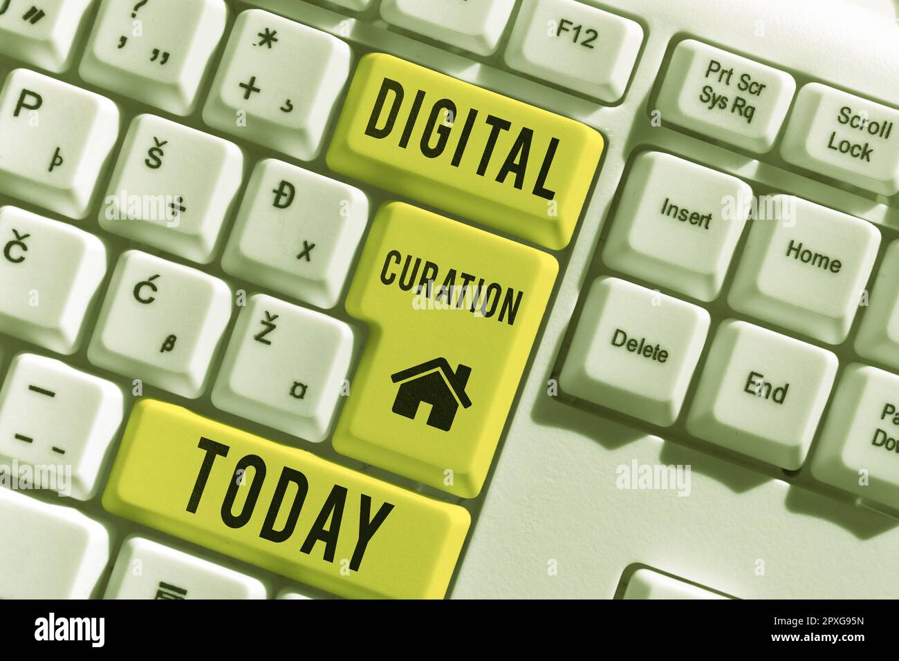 Text caption presenting Digital Curation, Conceptual photo maintenance ...