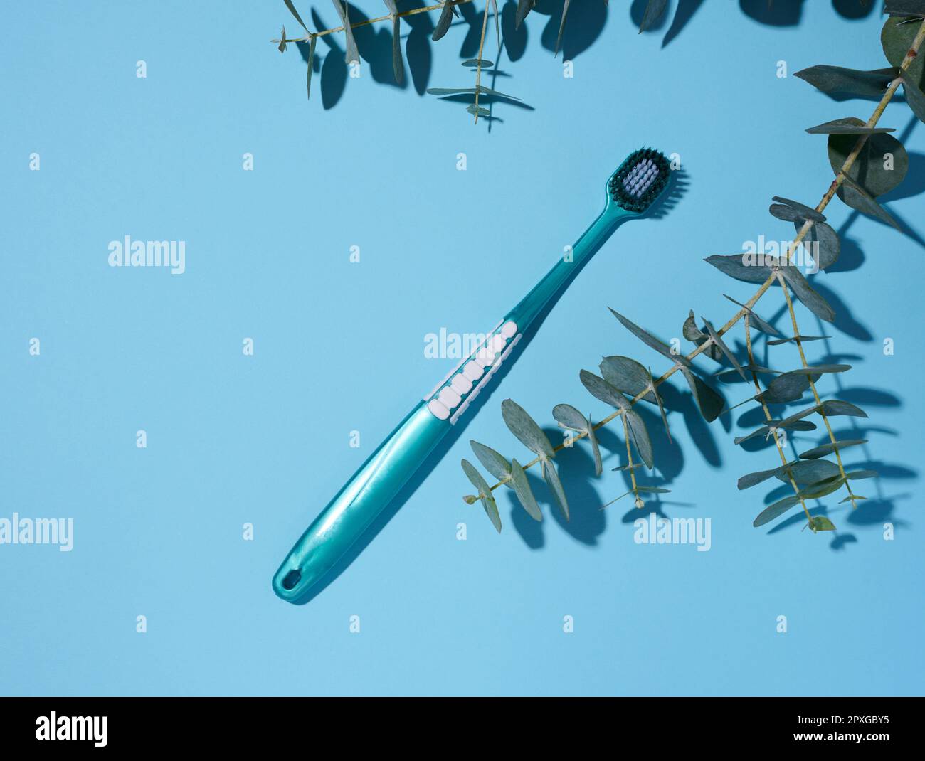 Eucalyptus toothbrush hi-res stock photography and images - Alamy
