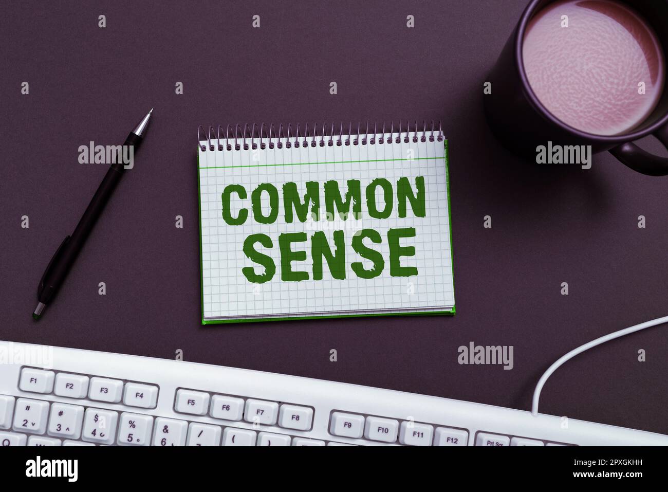 Sign displaying Common Sense, Internet Concept having good sense and ...