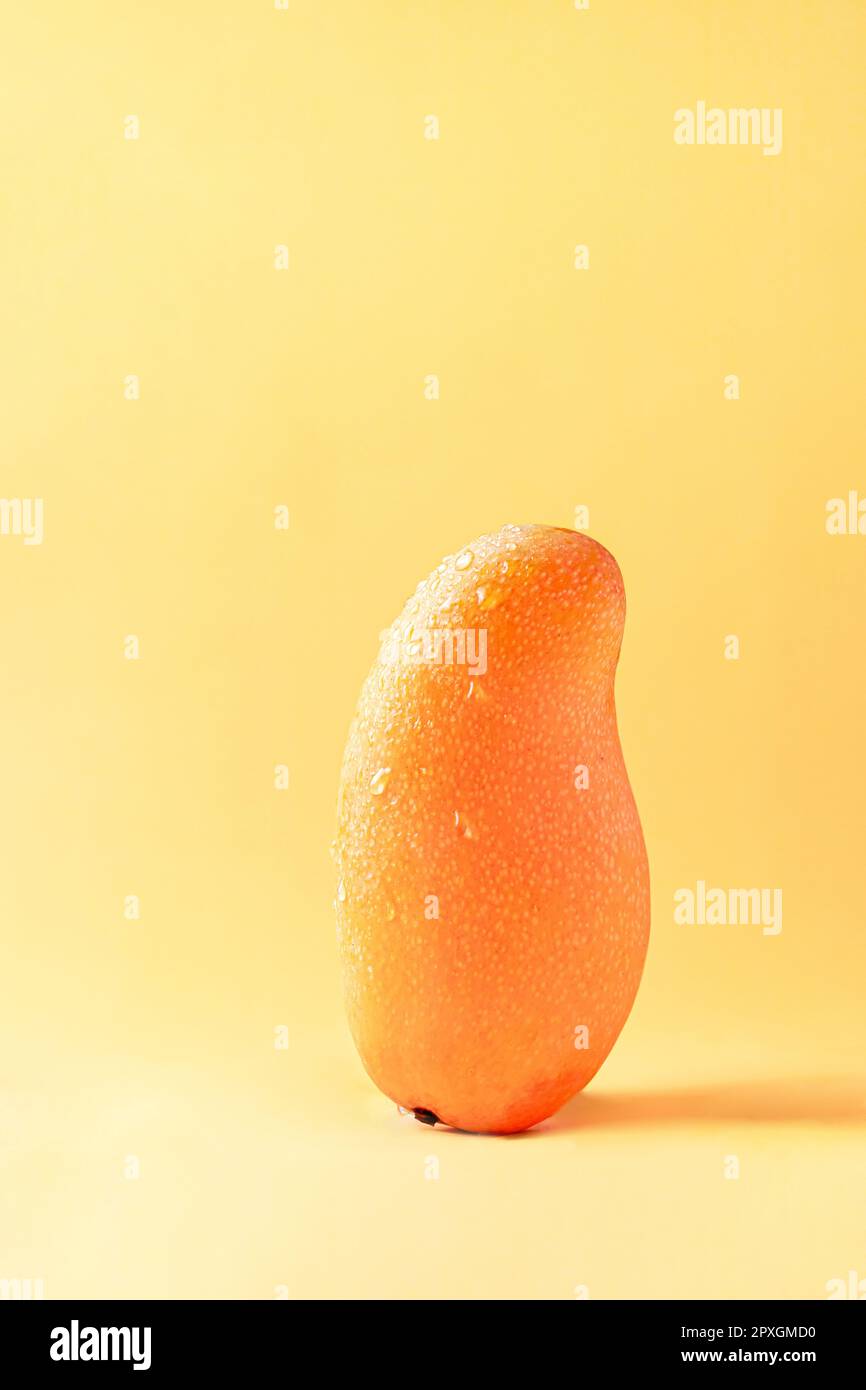 A fresh mango with lots of water dripping on a yellow background Stock ...
