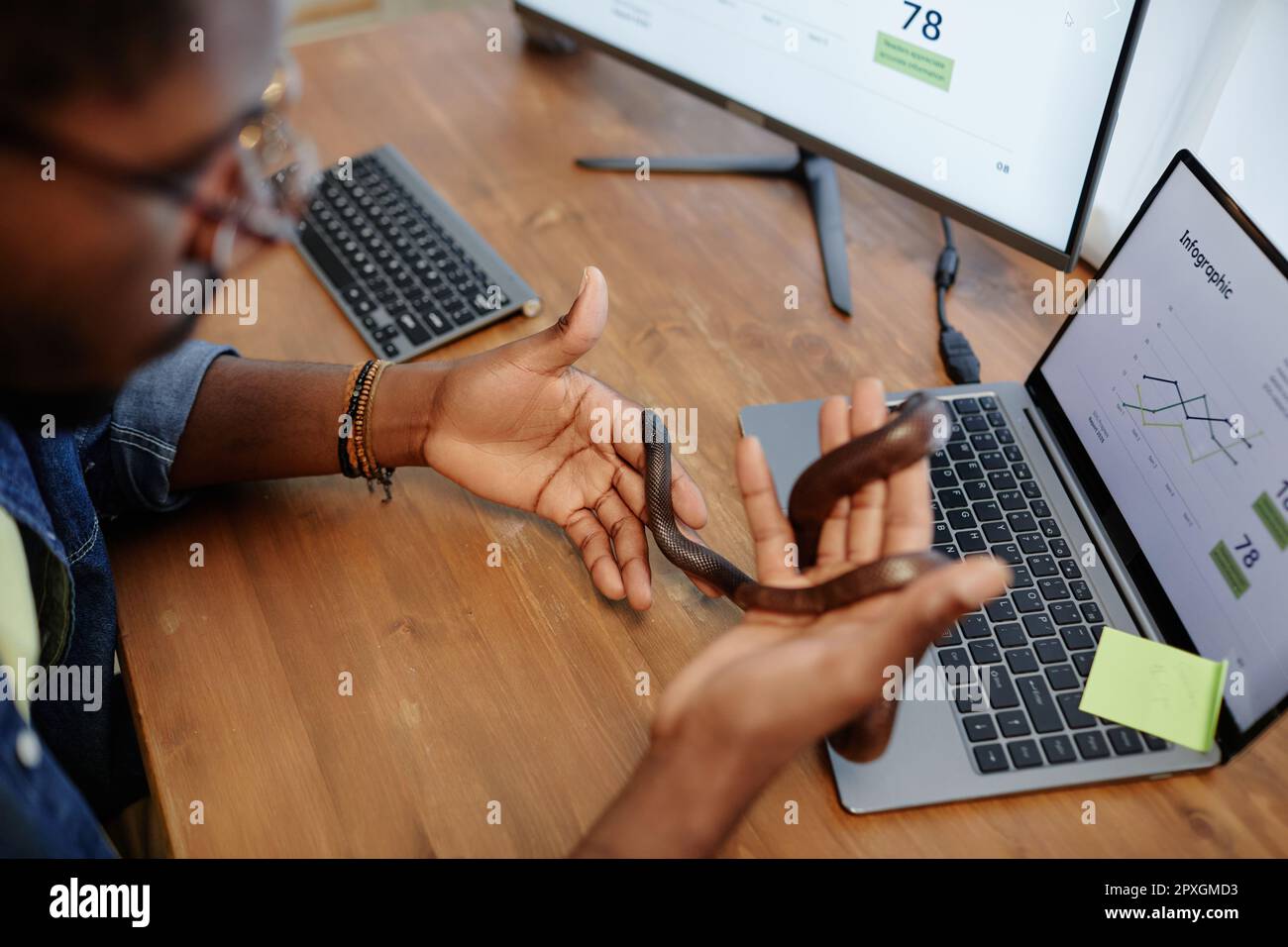Man holding emotional support animal hi-res stock photography and ...