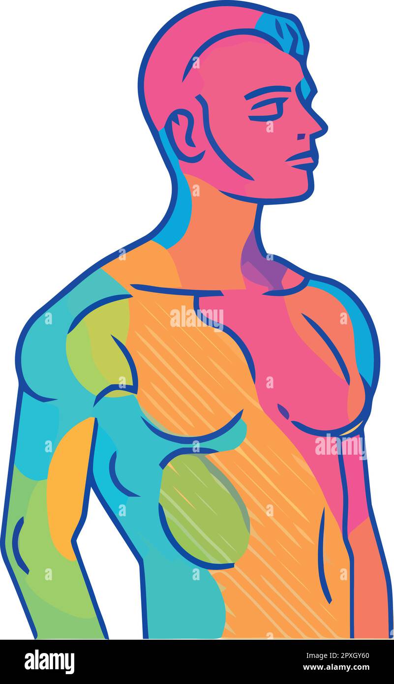 Muscular athlete standing portrait Stock Vector Image & Art - Alamy