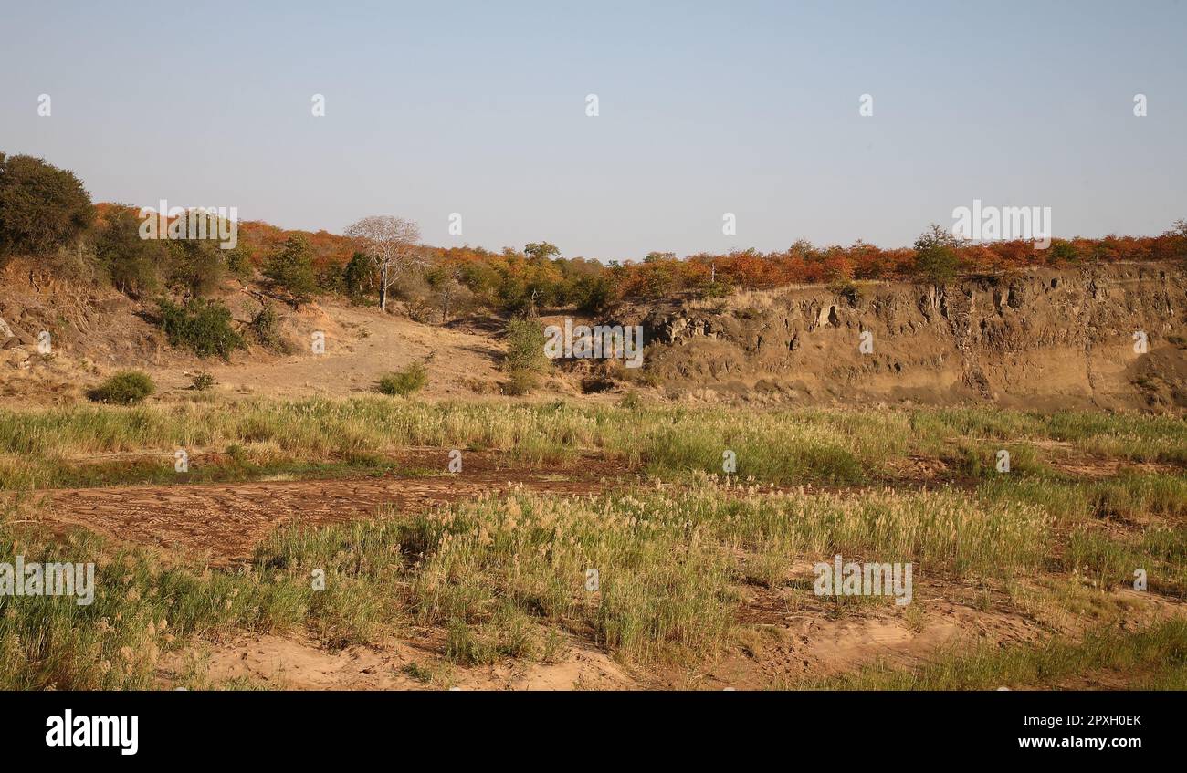 Krüger Park - Afrikanischer Busch - Letaba River / Kruger Park ...