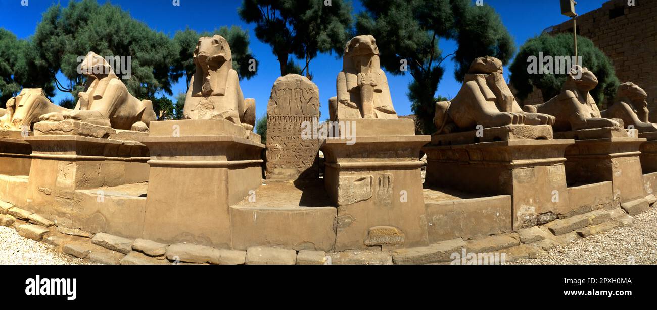 Karnak Temple Complex Egypt Avenue of Ram-Headed Sphinxes the Ram ...