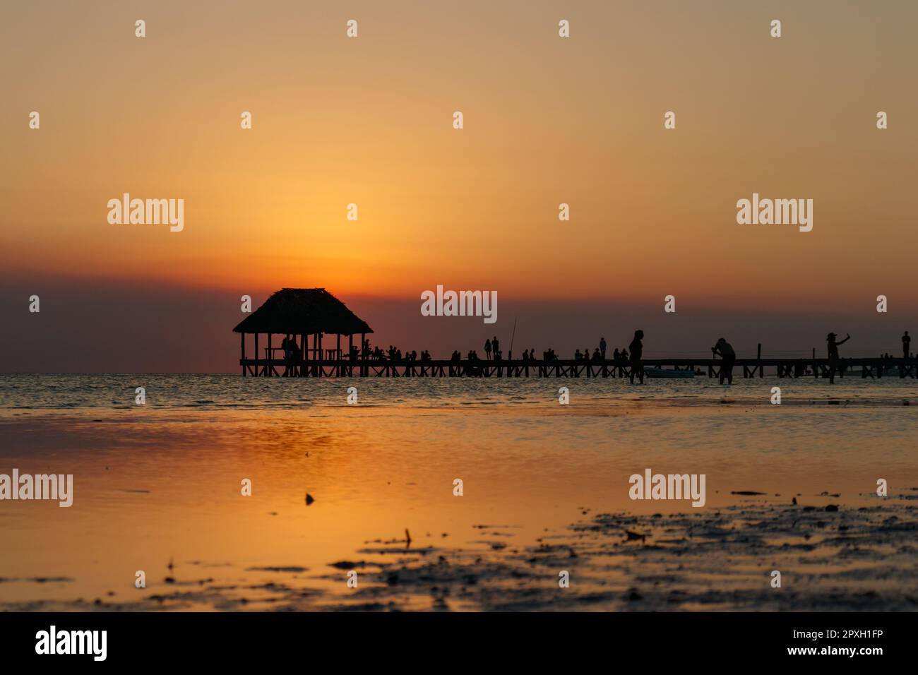 Punta Coco beach sunset wooden deck pier leading into ocean. In Holbox ...