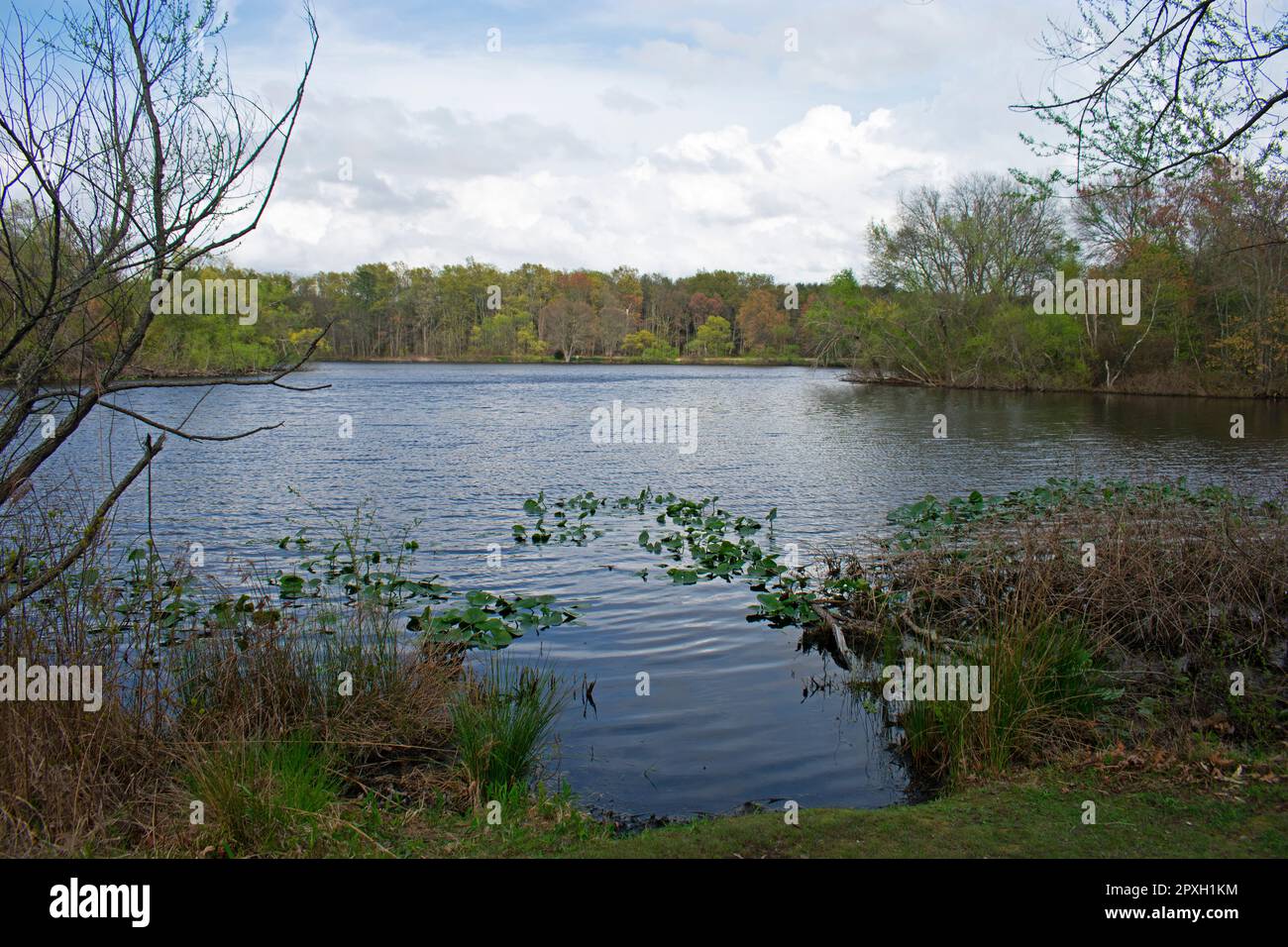 Scenic view along the nature trail at Big Brook Park in Marlboro, New ...