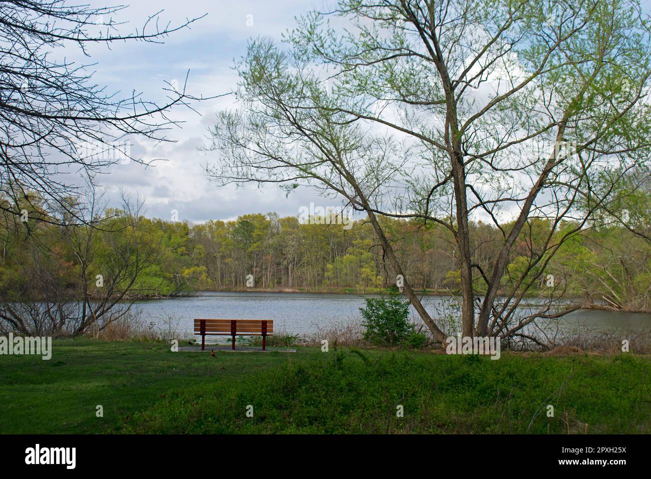 Rest area with scenic view along the nature trail at Big Brook Park in ...