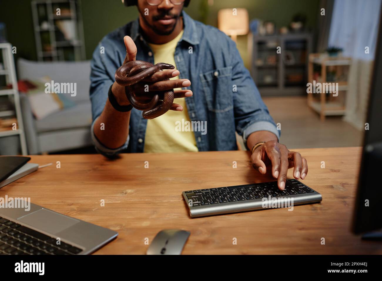 Close-up of young businessman with rat snake enlacing his hand pressing key of computer keyboard ...
