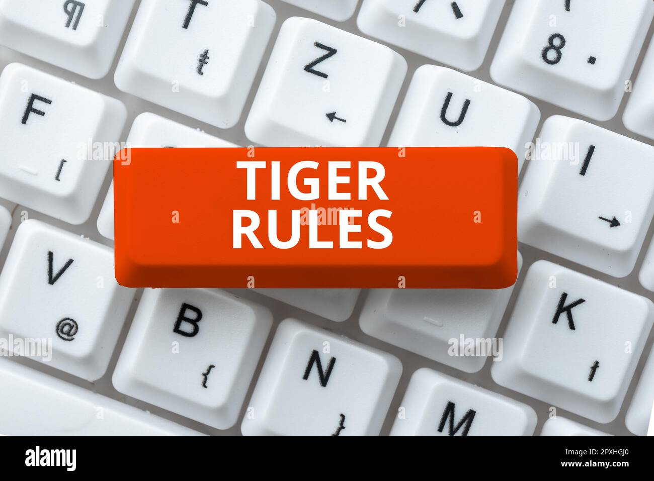 Handwriting text Tiger Rules, Word Written on Willpower and personal ...