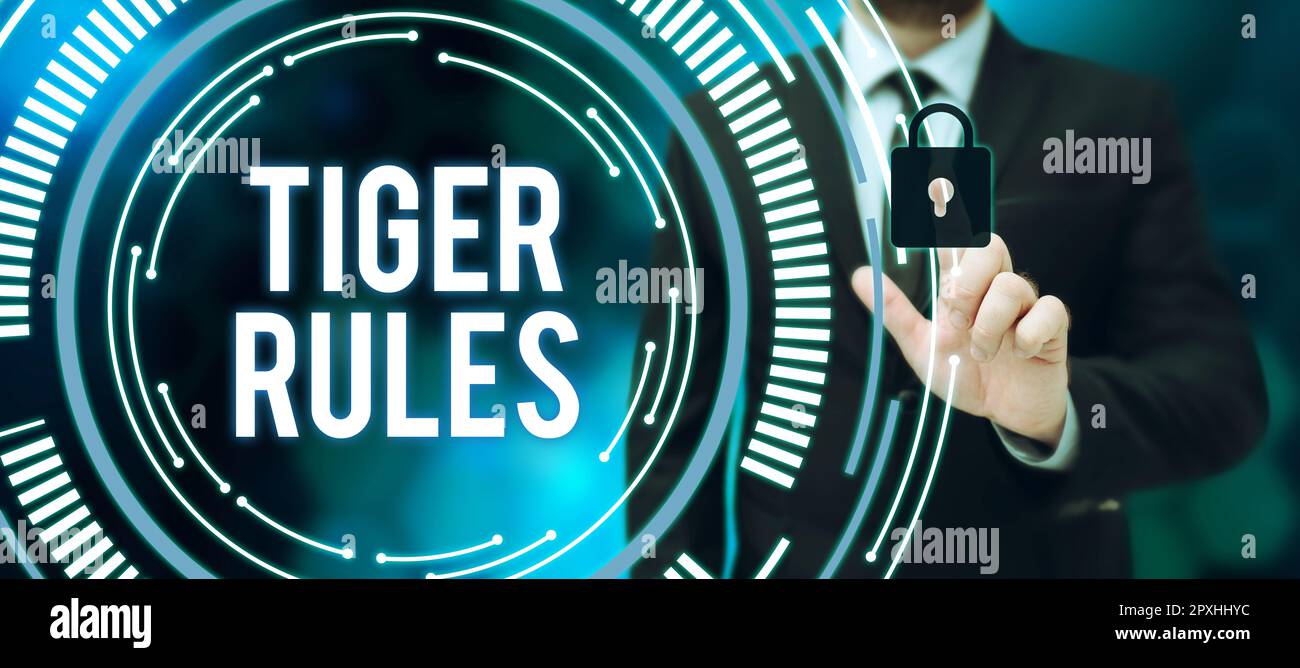 Text sign showing Tiger Rules, Business overview Willpower and personal ...