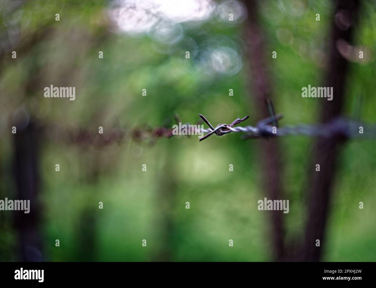 A rustic barbed wire fence with multiple poles spaced evenly apart ...