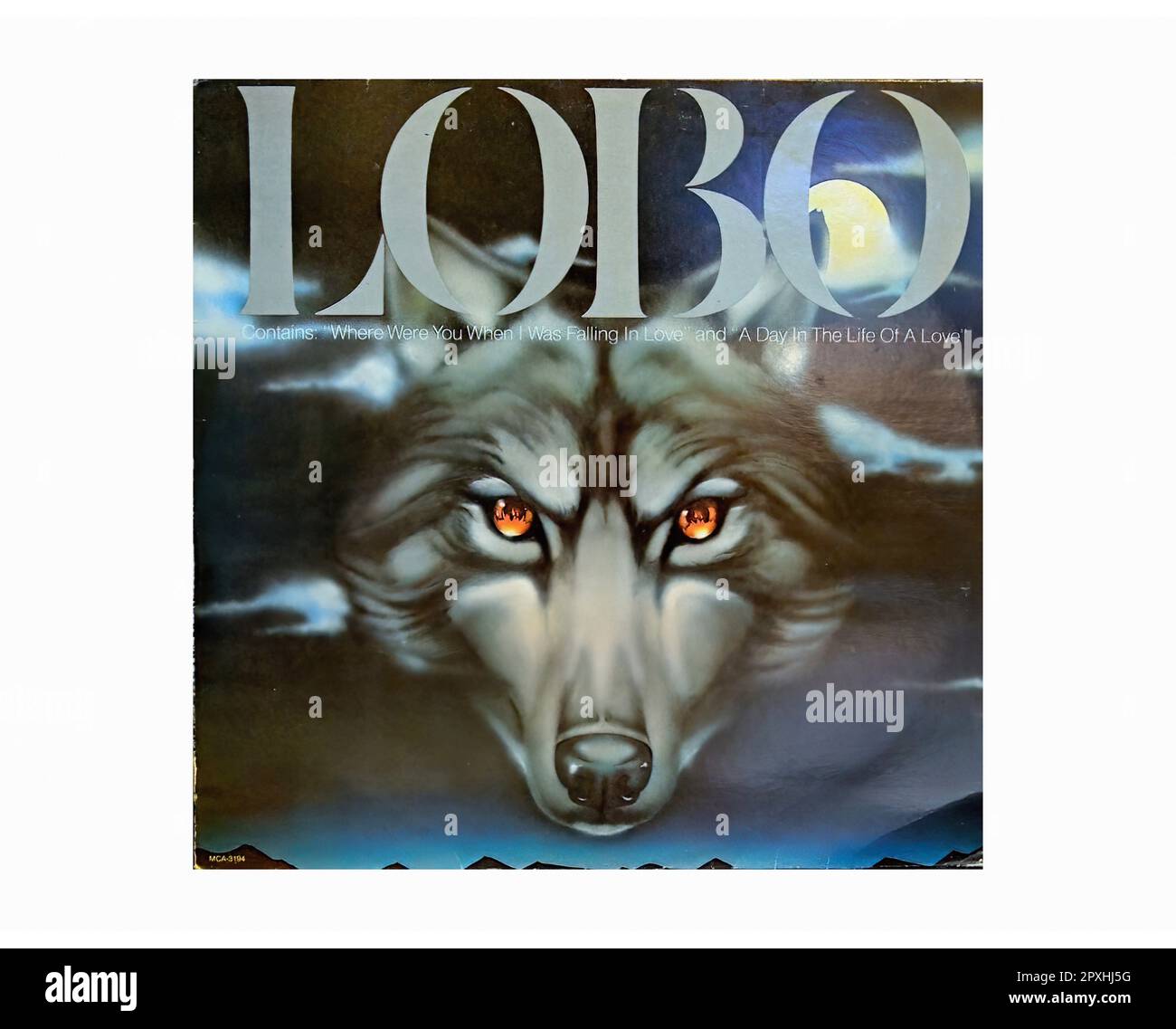 Lobo lobo Cut Out Stock Images & Pictures - Alamy