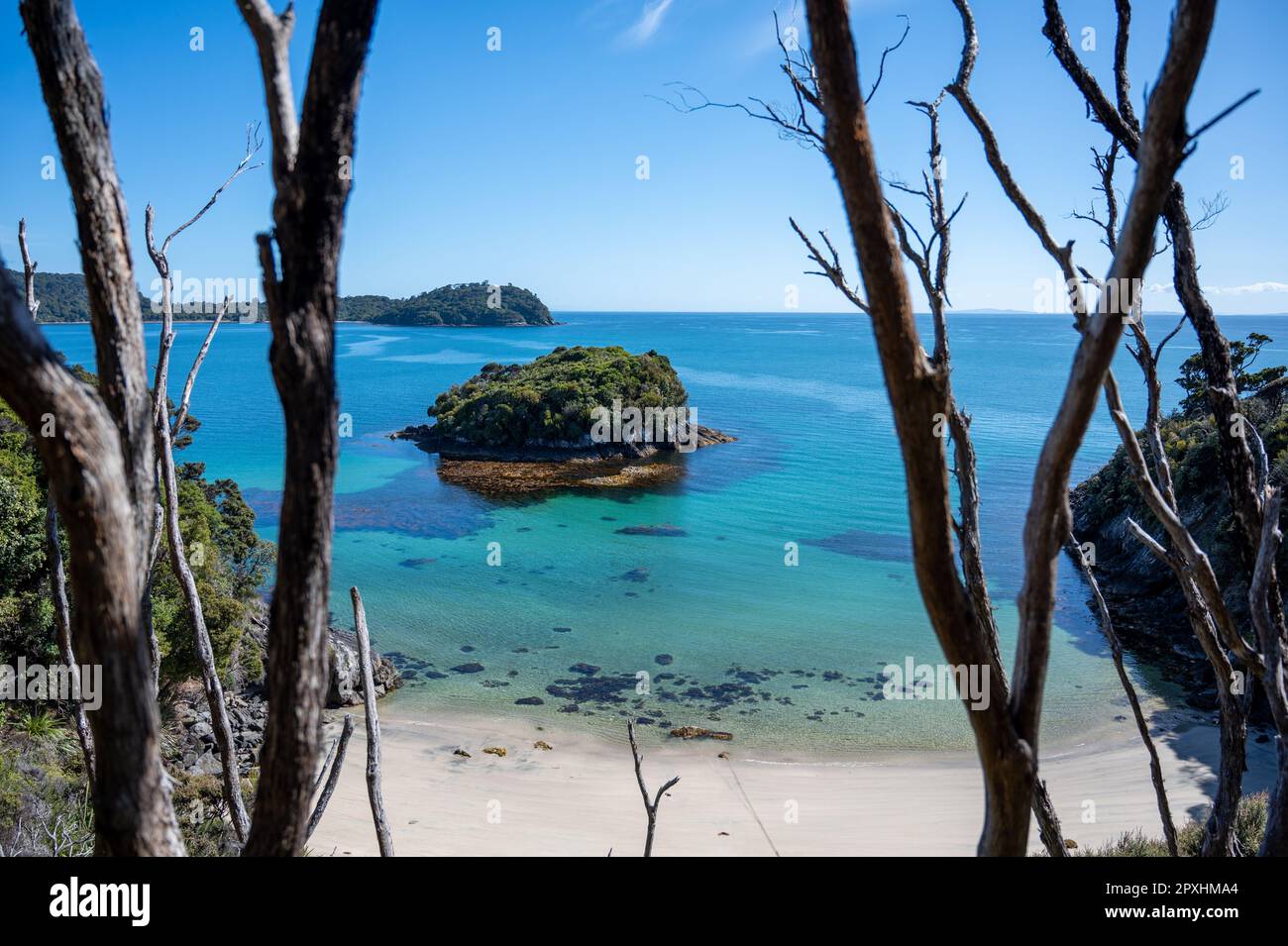 Rakiura track new zealand hi-res stock photography and images - Alamy