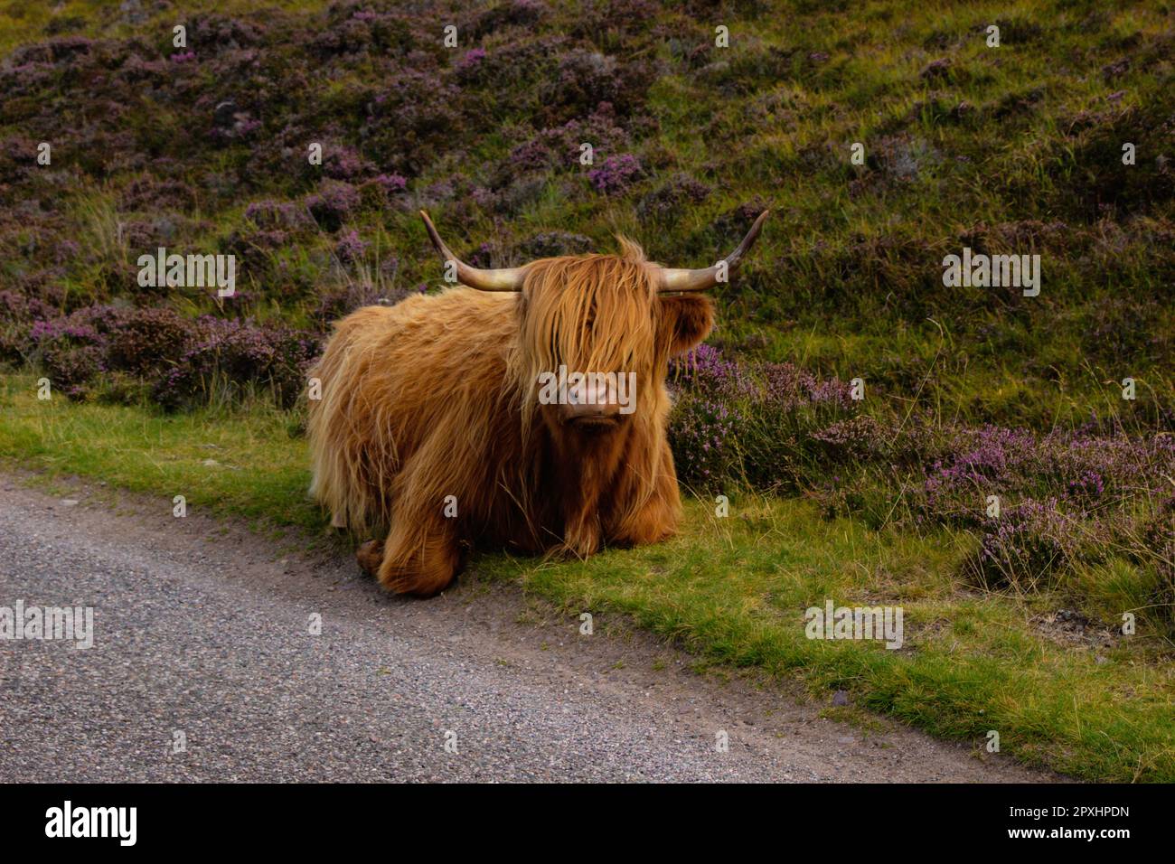 Group of young people in the scottish highlands hi-res stock ...