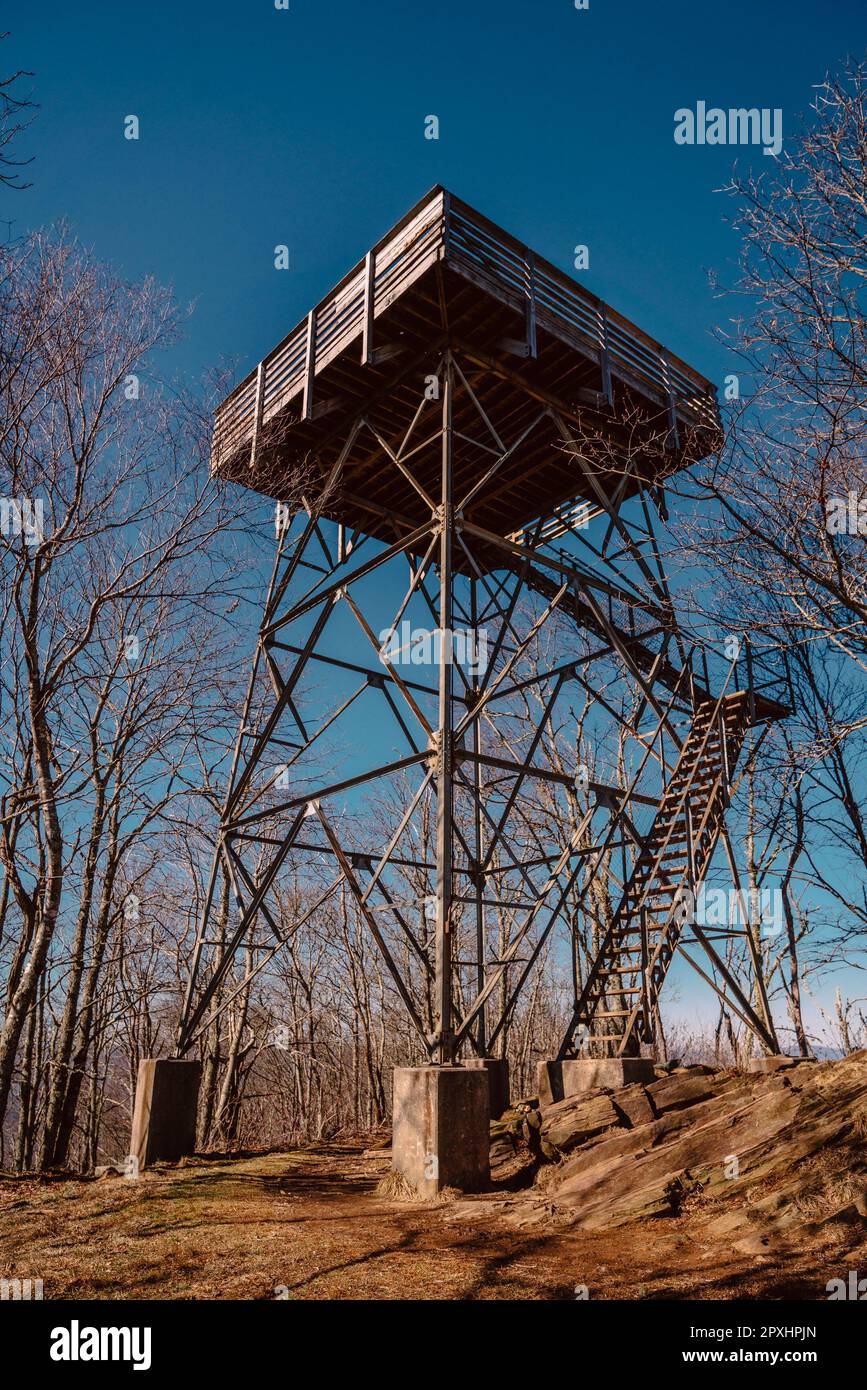 An elevated observation tower standing amongst a wooded landscape Stock ...