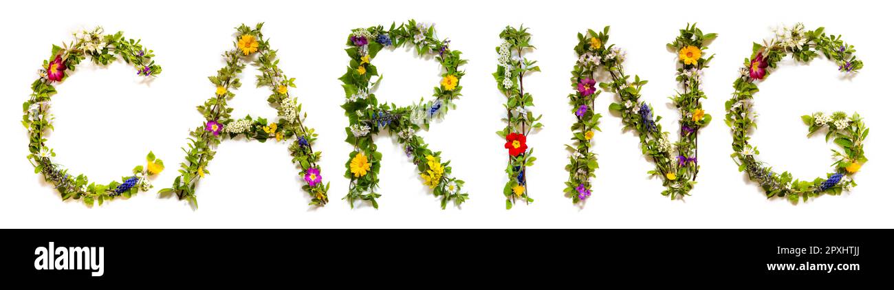 Blooming Flower Letters Building English Word Caring. Summer And Spring ...