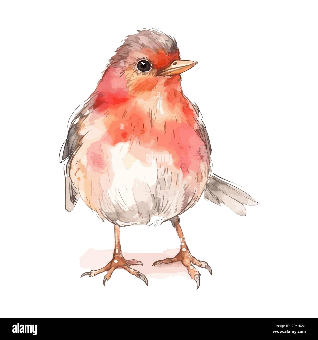 Baby robin hand Stock Vector Images - Alamy
