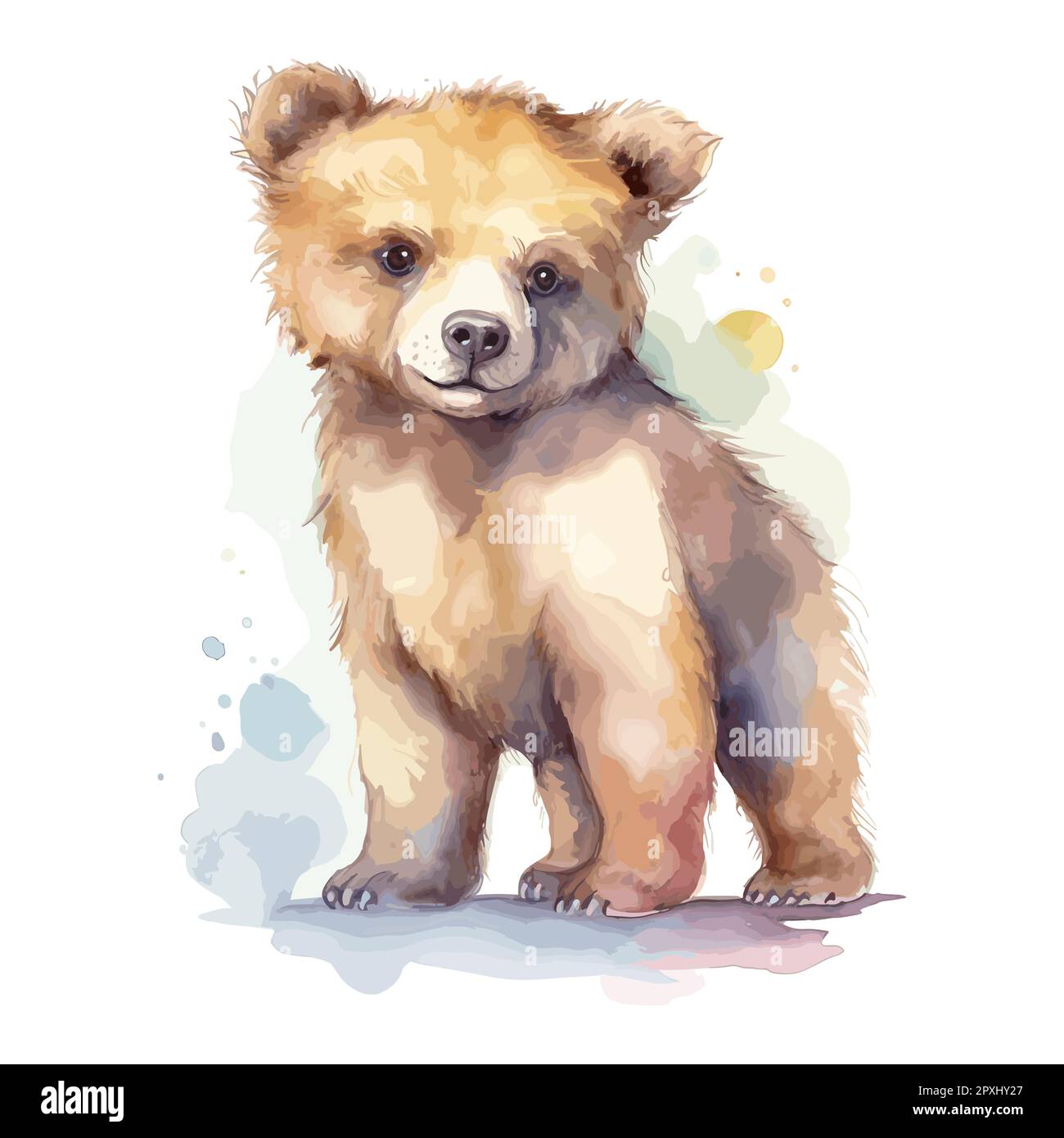 Standing Grizzly Bear Vector