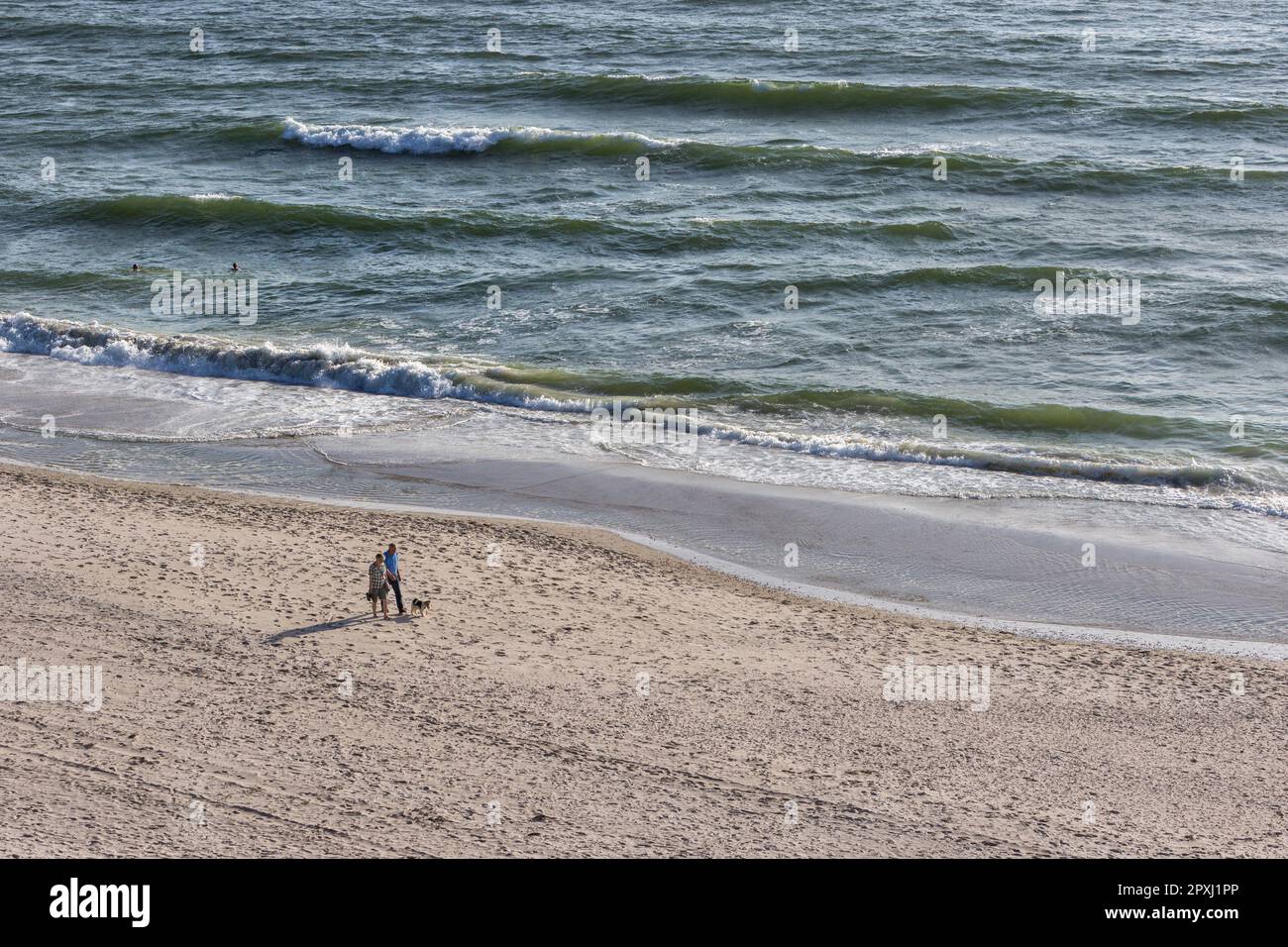 People walk on the sandy beach and dunes of Holmsland Klit by North Sea ...