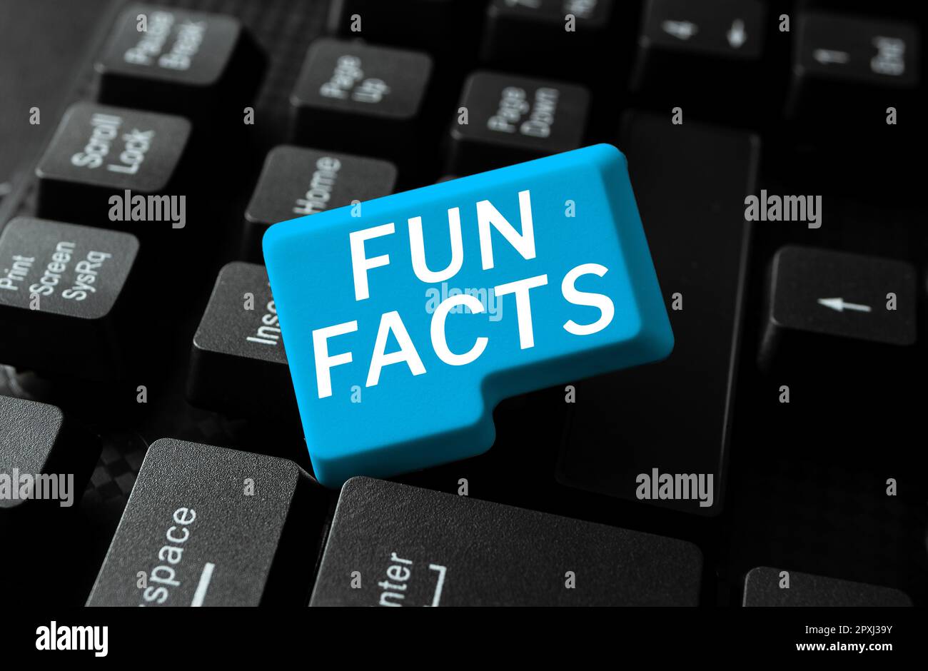 Text caption presenting Fun Facts, Business overview short interesting ...