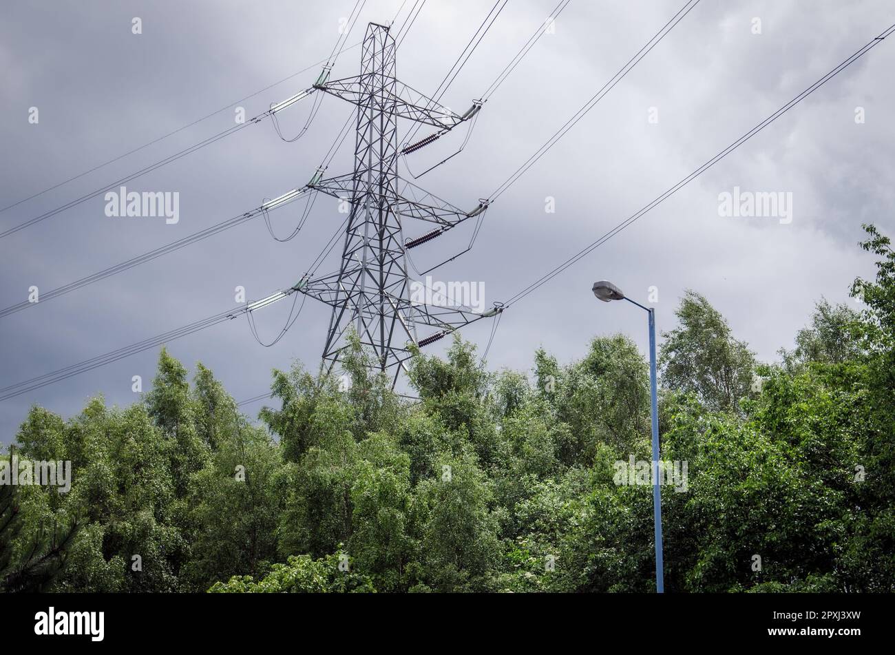 A low angle of electricity pylon and power lines behind green trees ...