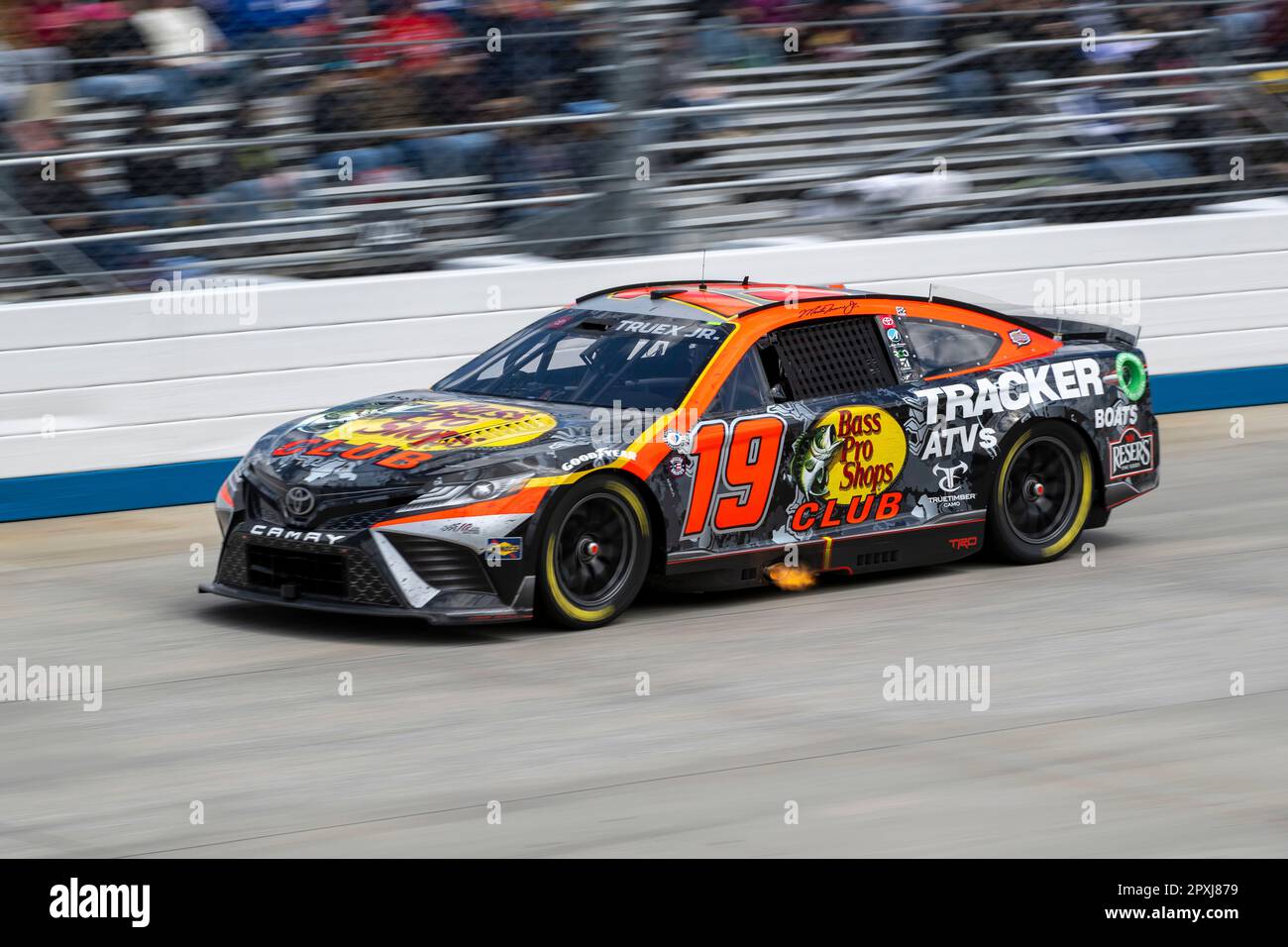 Nascar 19